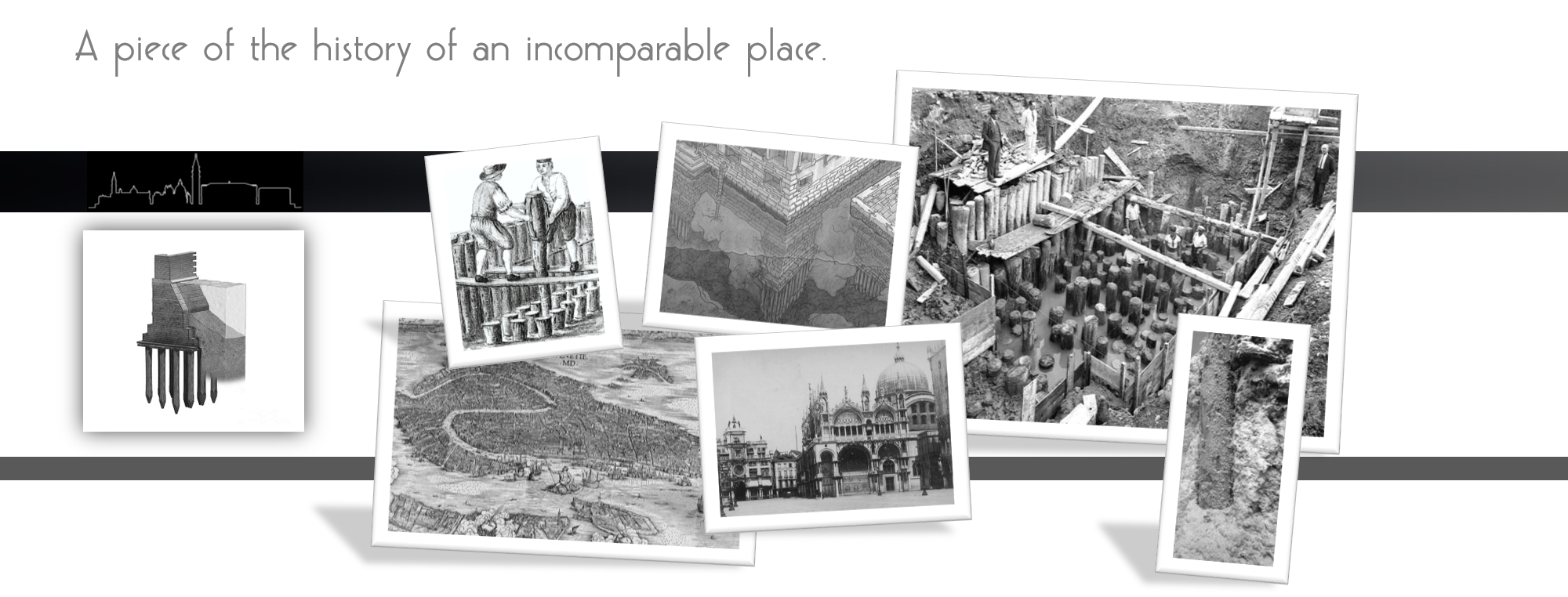 Venice Wood: HISTORY