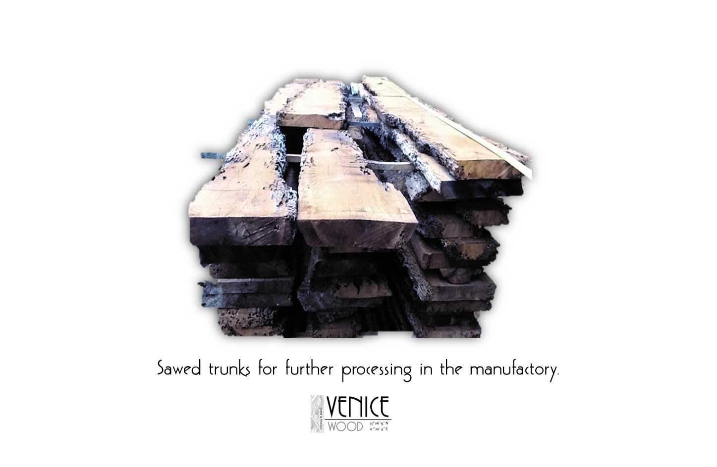 Venice Wood: HISTORY